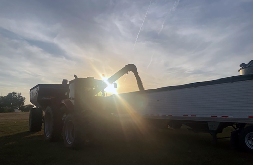 Reader photo: Sun up, sun down