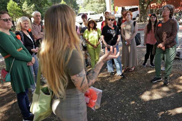 Zoe Rosenberg's chicken 'rescue' trial begins in Sonoma County
