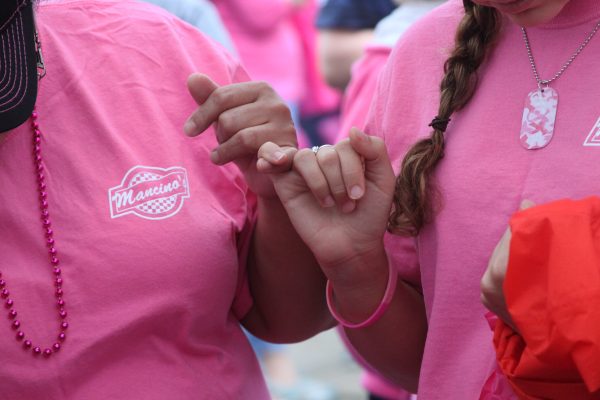 Manistee Paint the Town Pink timeline traces nearly 20 years