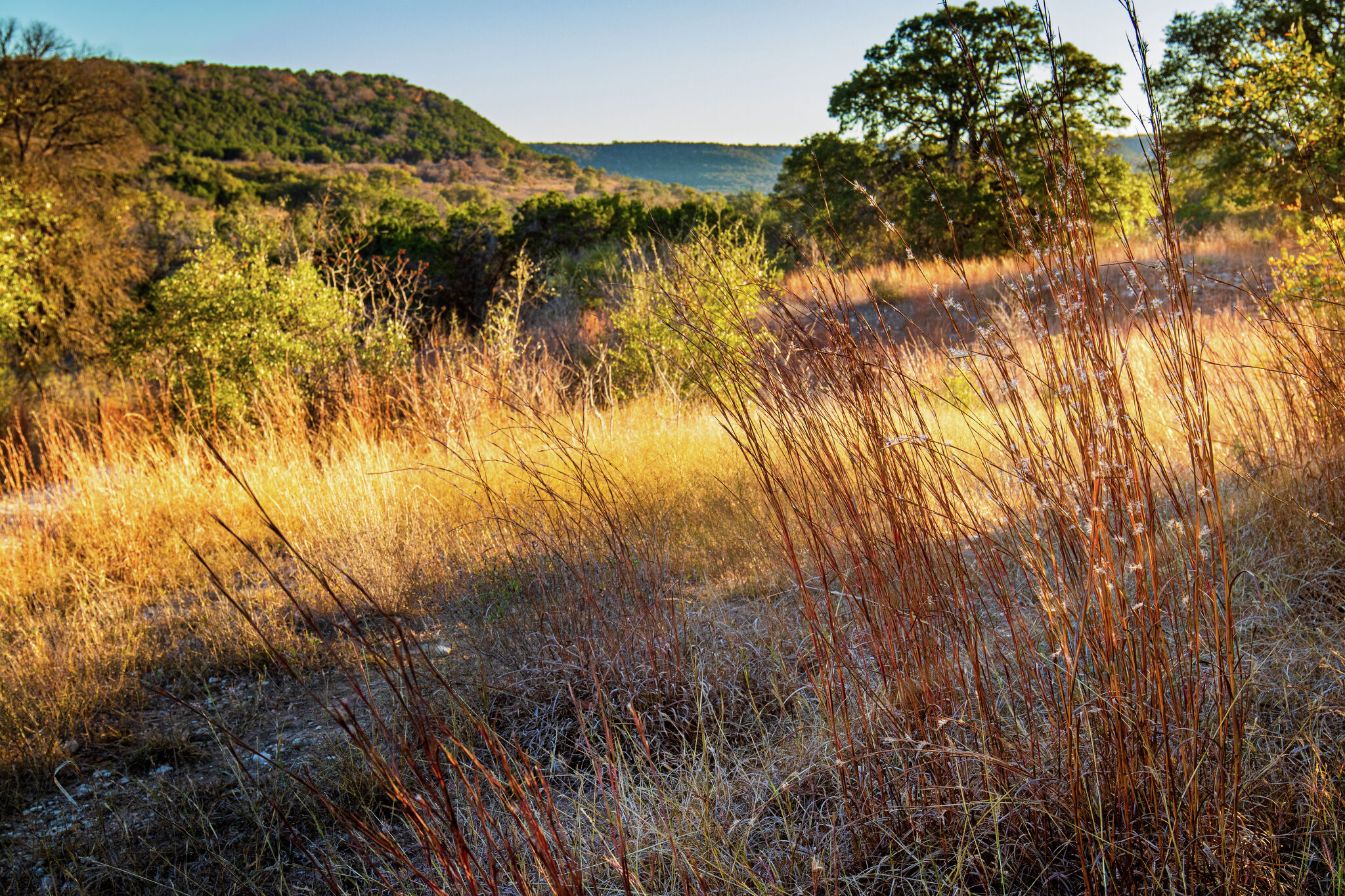Texas plans to turn 54,000-acre ranch into new state park