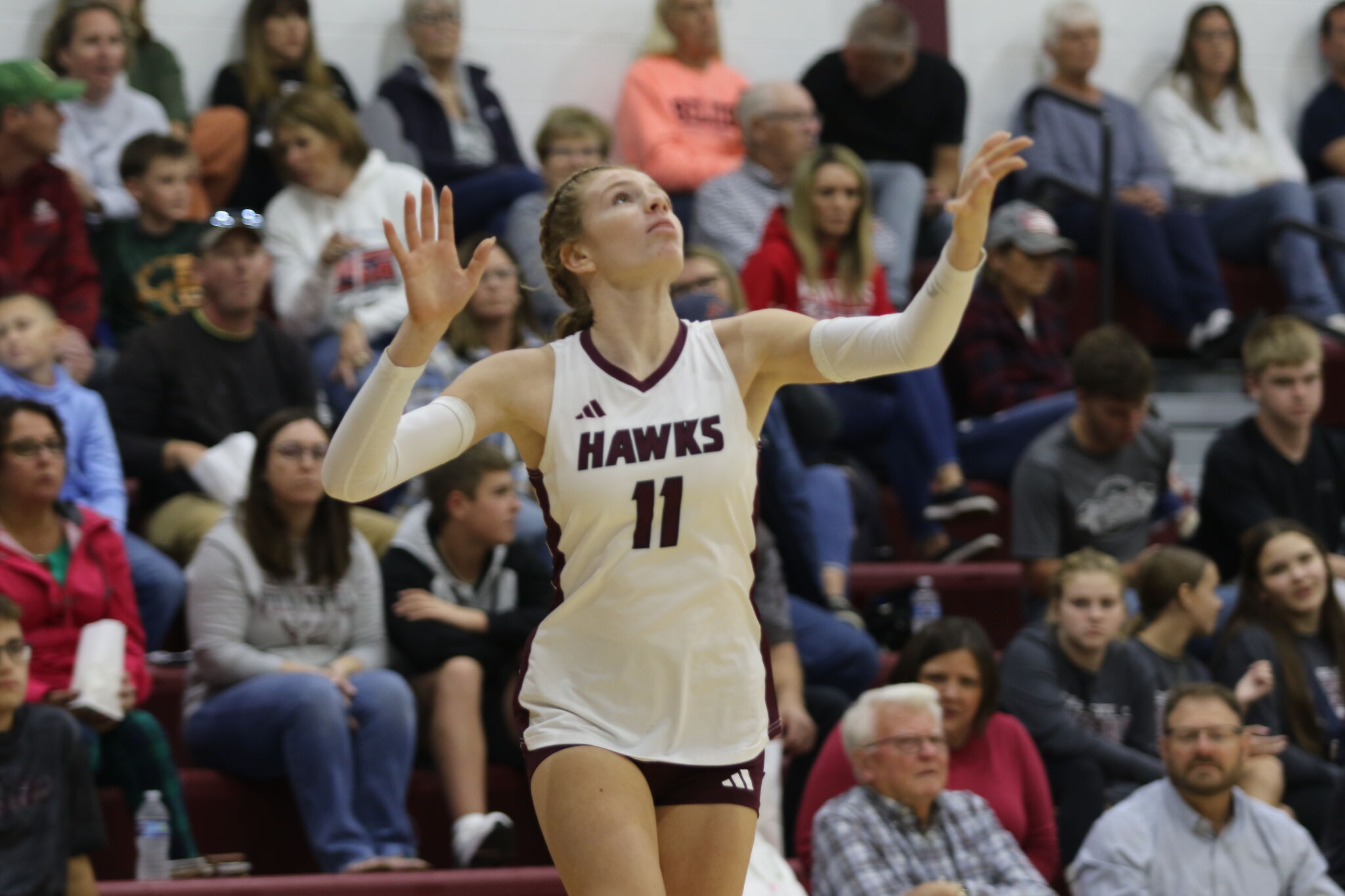 MIVCA Division 3: Cass City's Skylar Ignash named Honorable Mention
