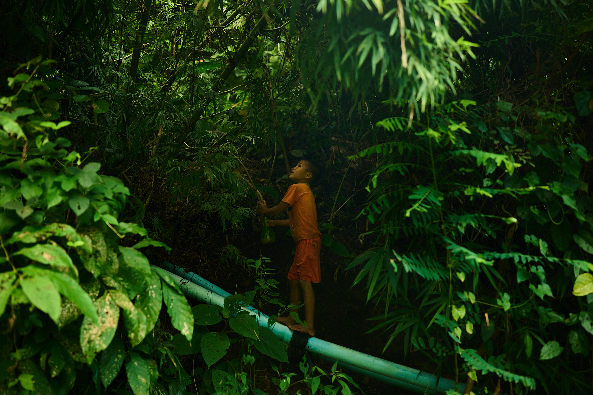 Starving children screaming for food as US aid cuts unleash devastation ...