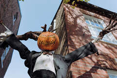 College students lack basic needs amid COVID-19 pandemic