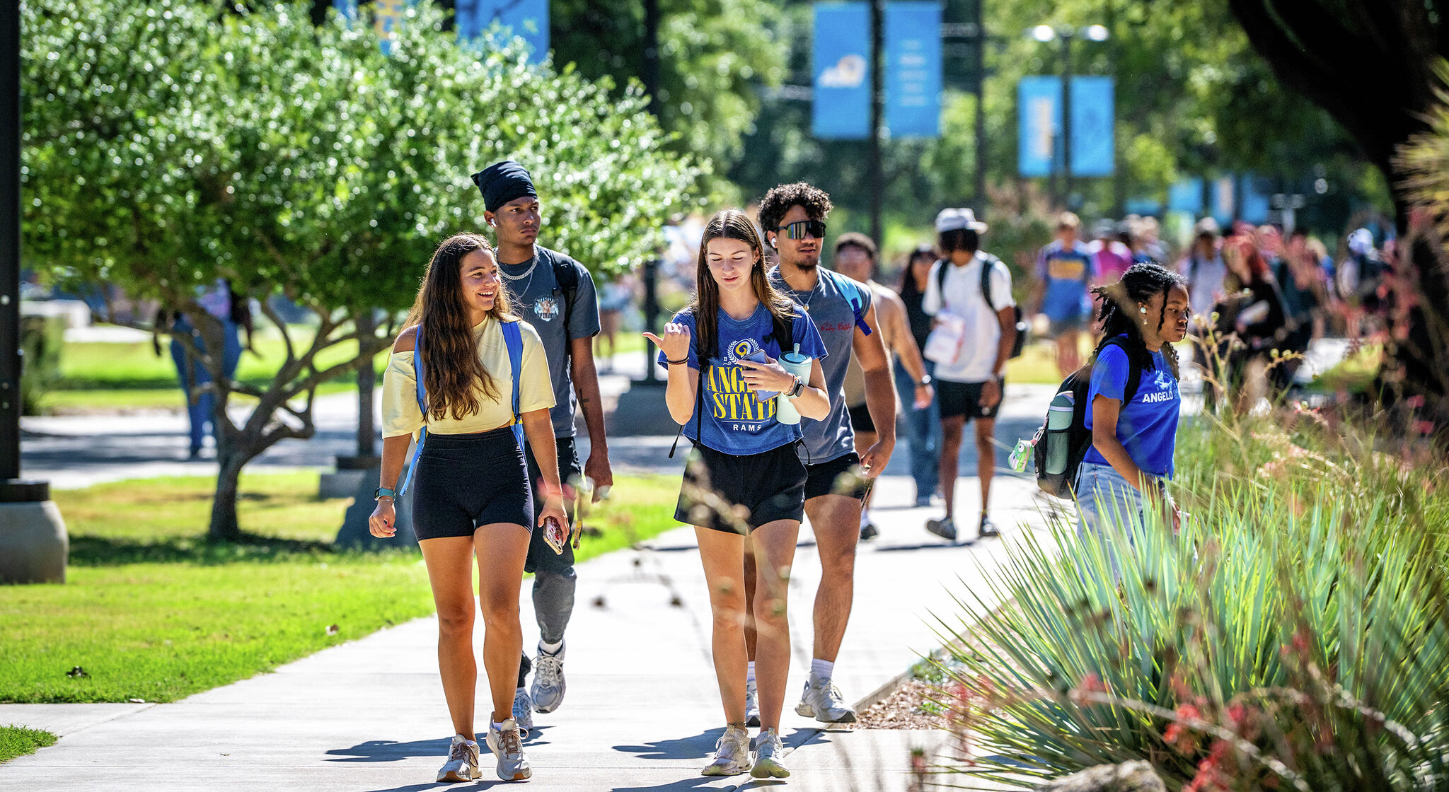 Angelo State University sets new fall enrollment record