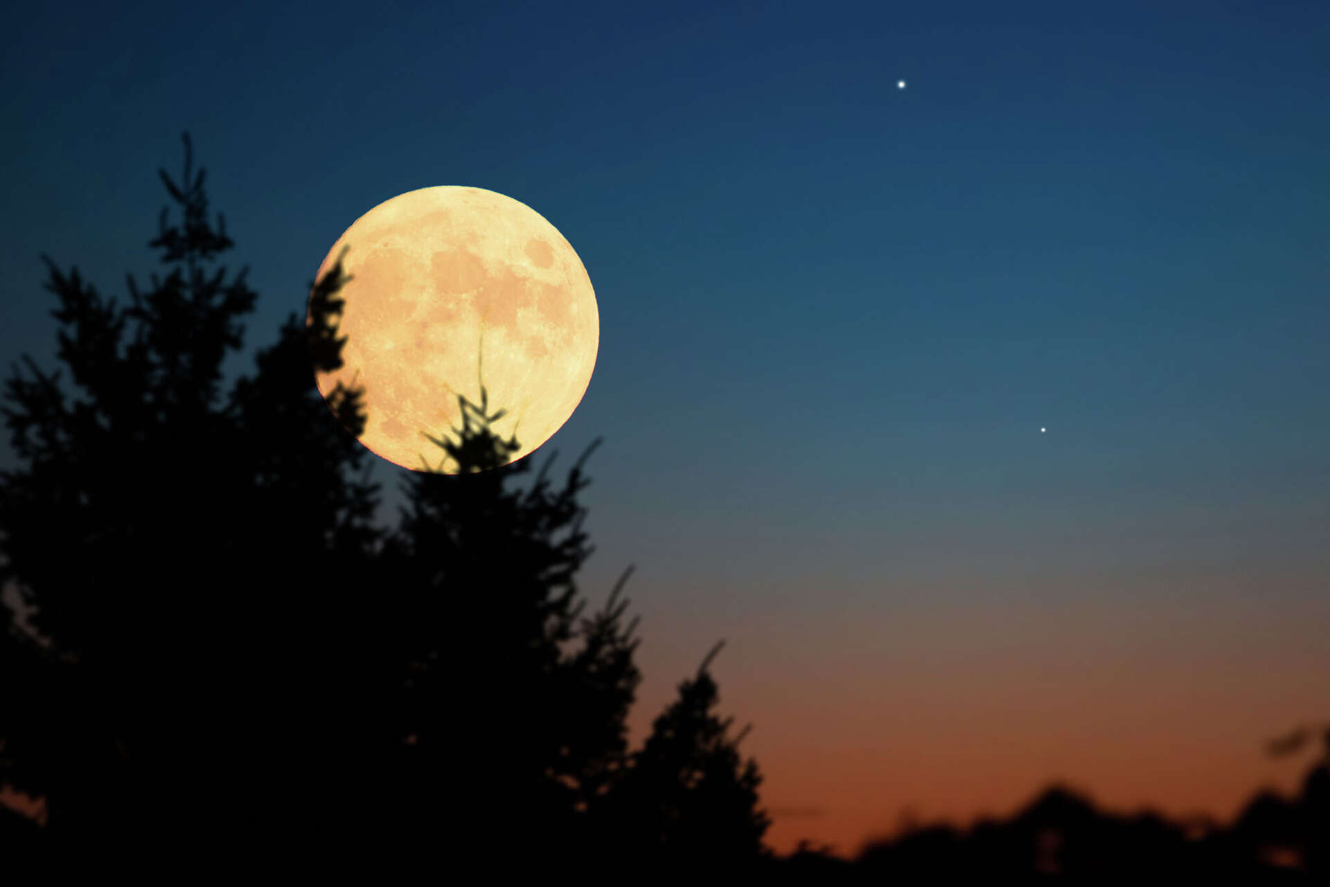 Horoscope for Tuesday, 10/14/25 by Georgia Nicols
