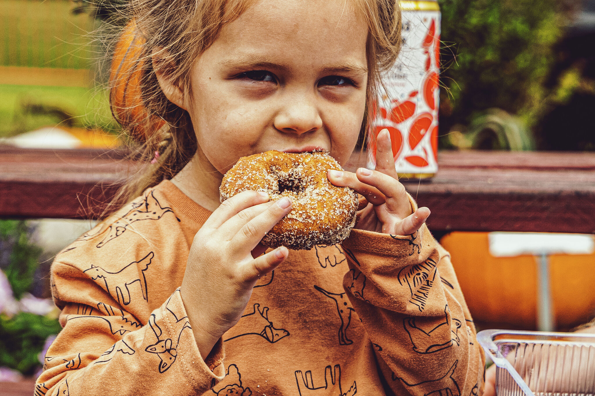 Connecticut Magazine names the top cider doughnuts around the state