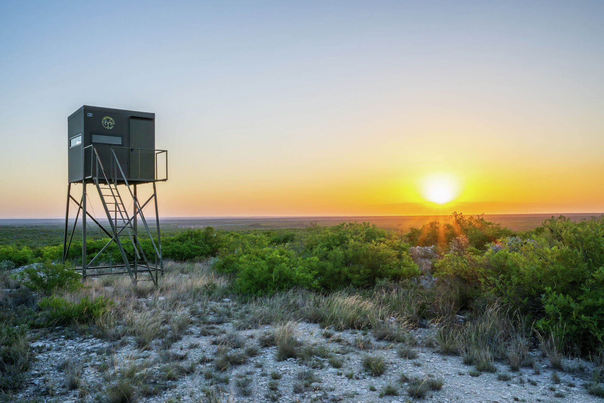 Massive 4,500-acre South Texas hunting ranch hits the market
