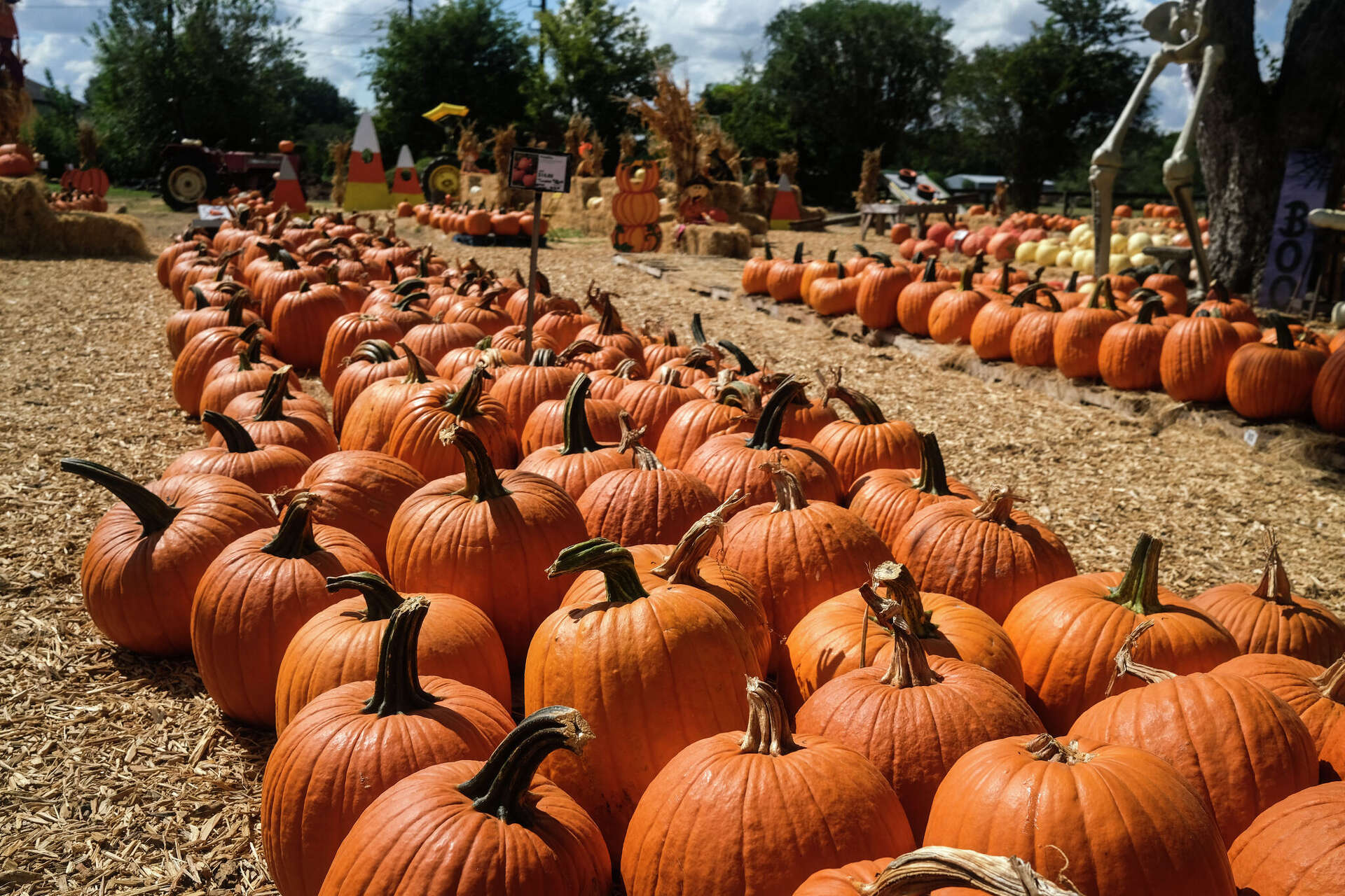 Welcome to Floydada — see history behind the Texas Pumpkin Capital