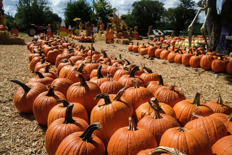 Welcome to Floydada — see history behind the Texas Pumpkin Capital