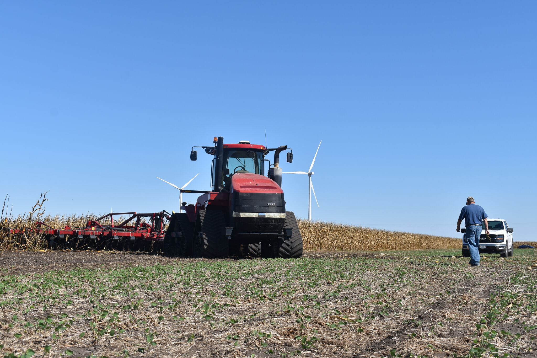 Winning numbers drawn in Sunday’s Ohio Rolling Cash 5