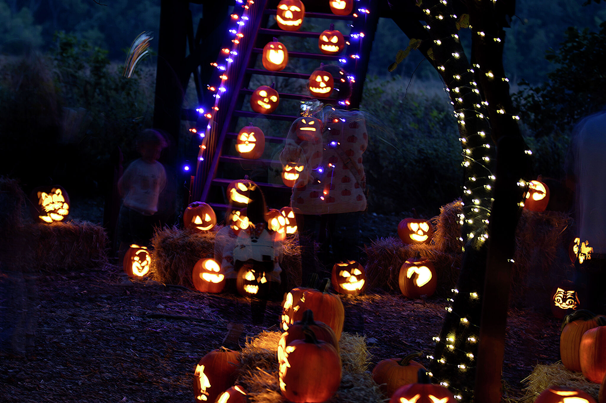 Photos: Watershed Nature Center Pumpkin Glow 2025