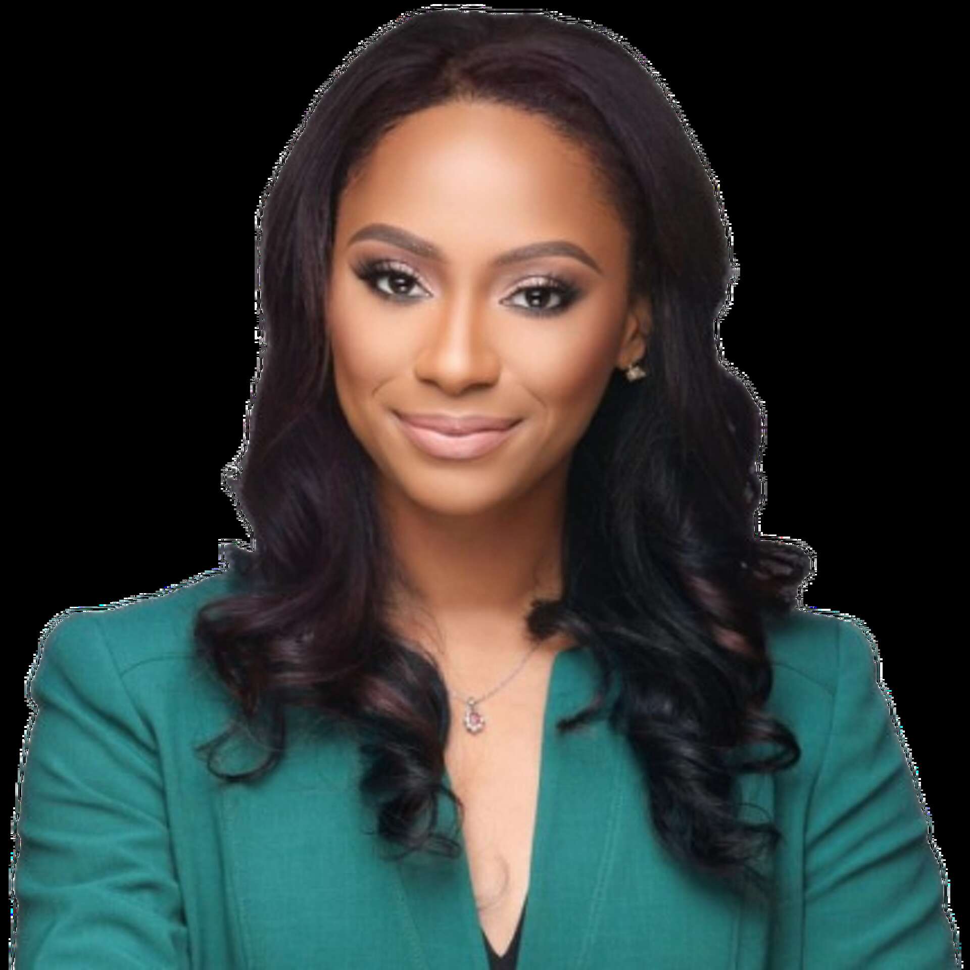 Election Day: Editorial board Houston runoff endorsements