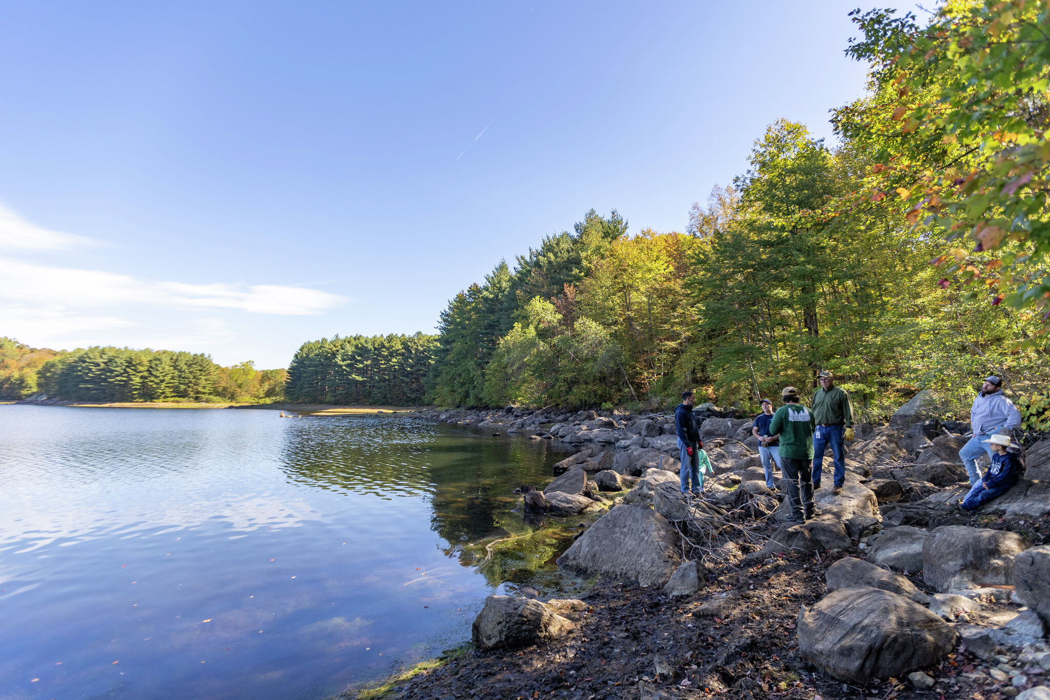 Connecticut Water plants pine trees near Naugatuck-area reservoir