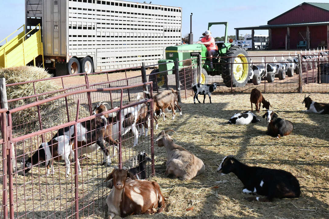 Midland's Fiddlesticks Farms offers fall agri-tainment