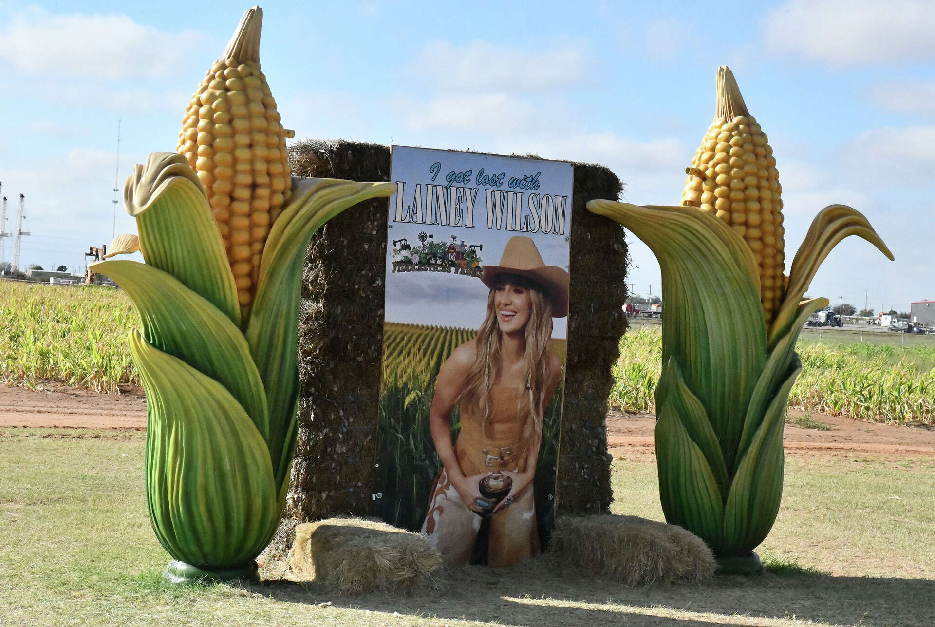 Midland's Fiddlesticks Farms offers fall agri-tainment