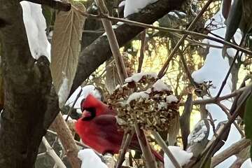 The 12 stages of the Midwest 'goodbye'