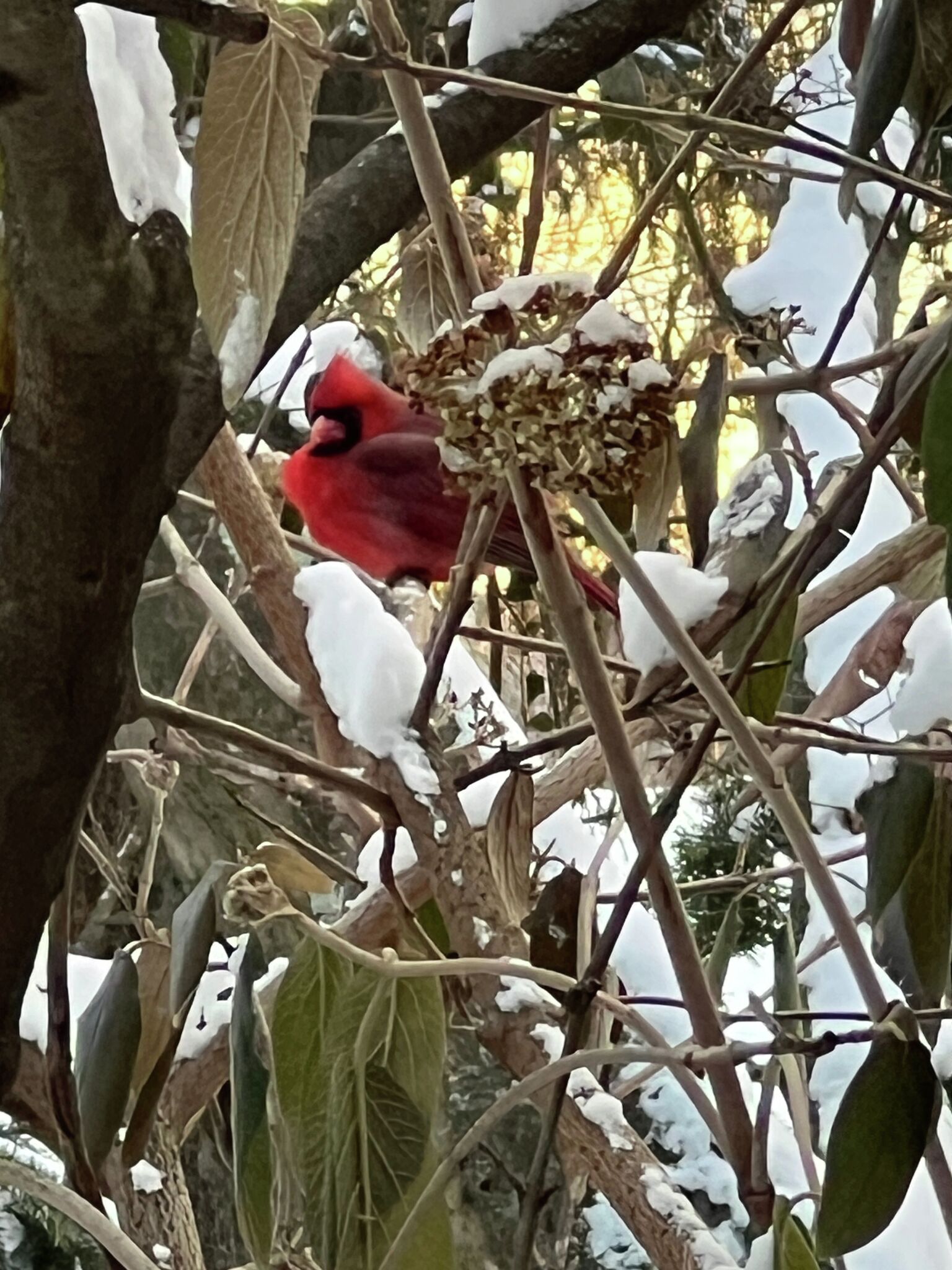 The 12 stages of the Midwest 'goodbye'