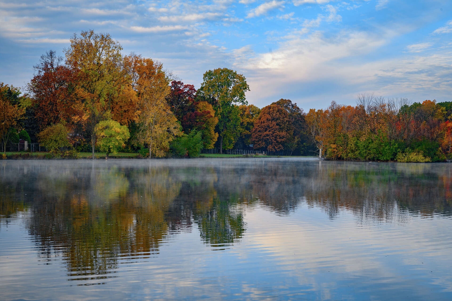 Michigan fall color report: See current colors, peak dates by region