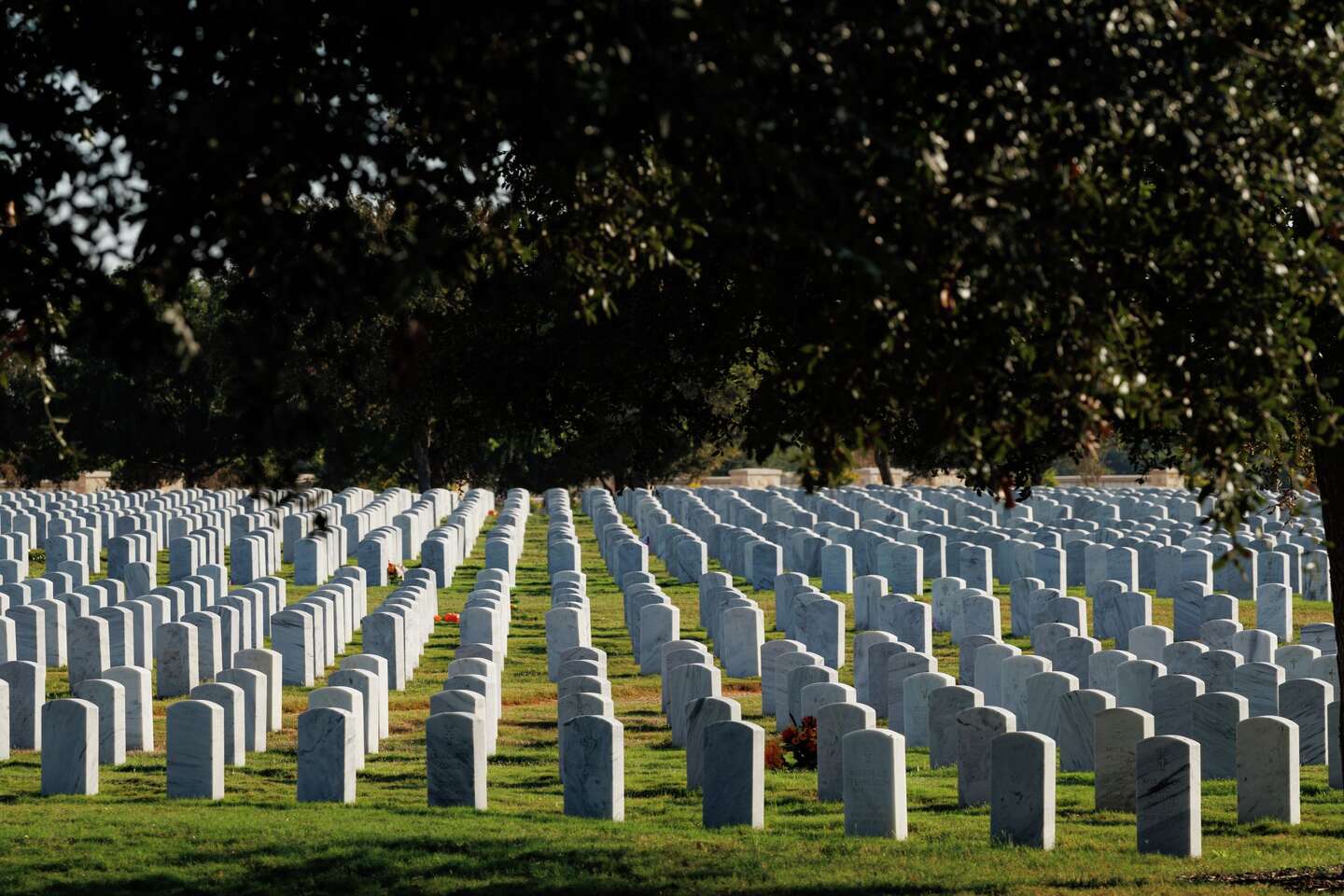 Congressman steps in to save Veterans Day at Fort Sam Houston