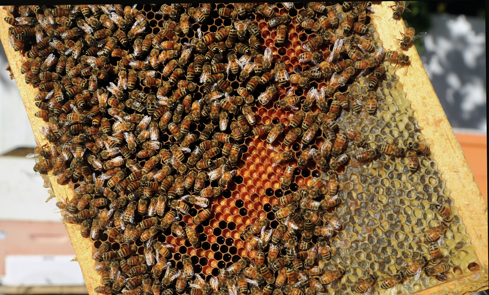 Former model and CT artist channels Swedish childhood in her art