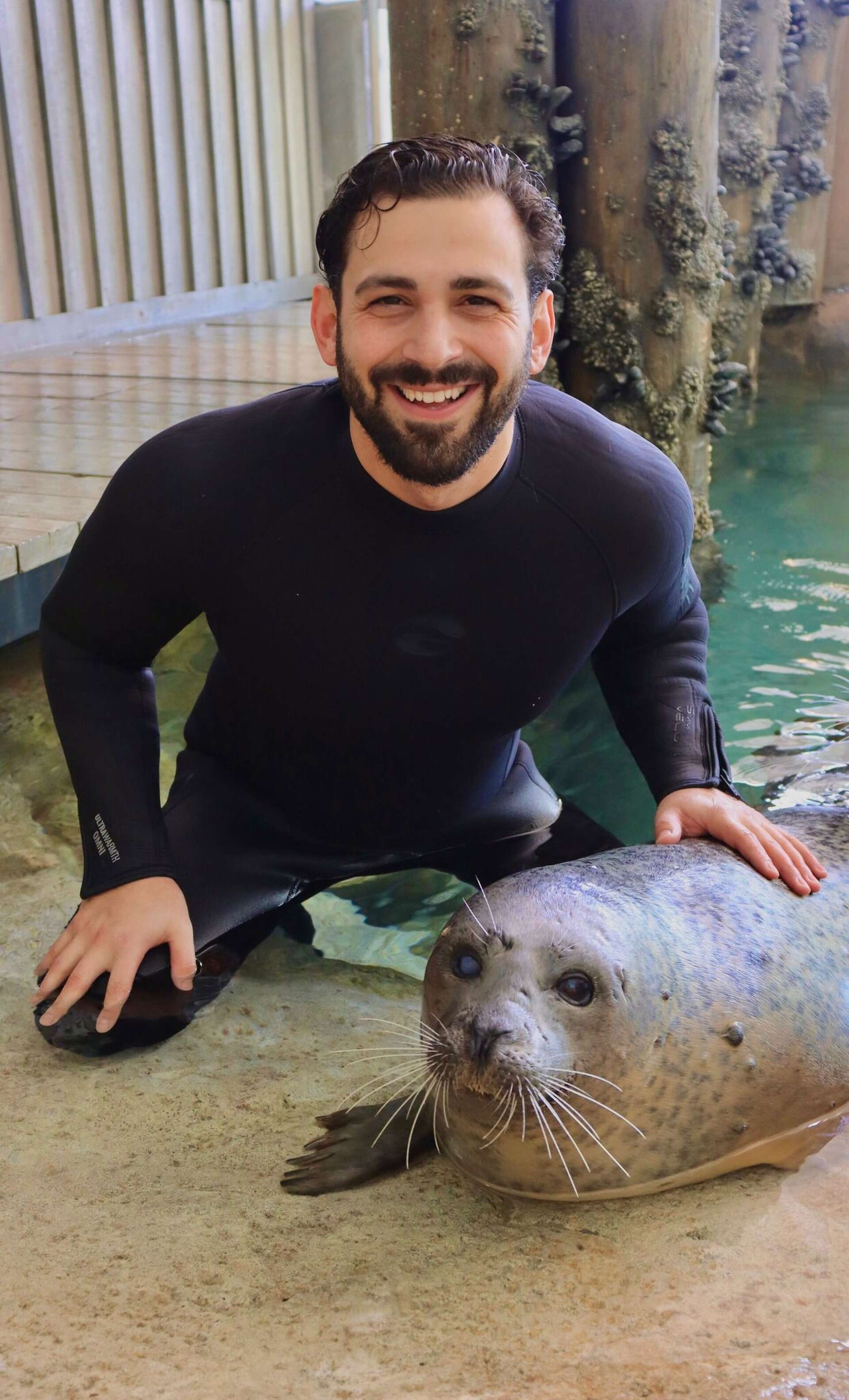 Norwalk's Maritime Aquarium mourns loss of Super Bowl-picking seal