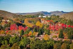 Fall colors map 2025: Bay Area's best spots to see changing leaves