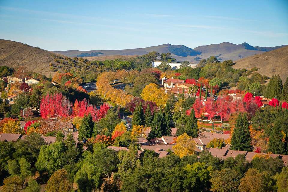 Fall colors map 2025: Bay Area's best spots to see changing leaves