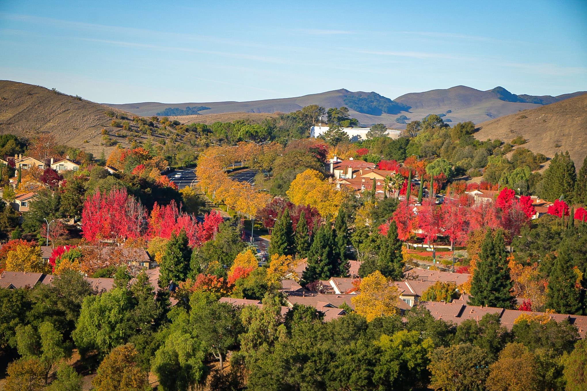 Fall colors map 2025: Bay Area's best spots to see changing leaves