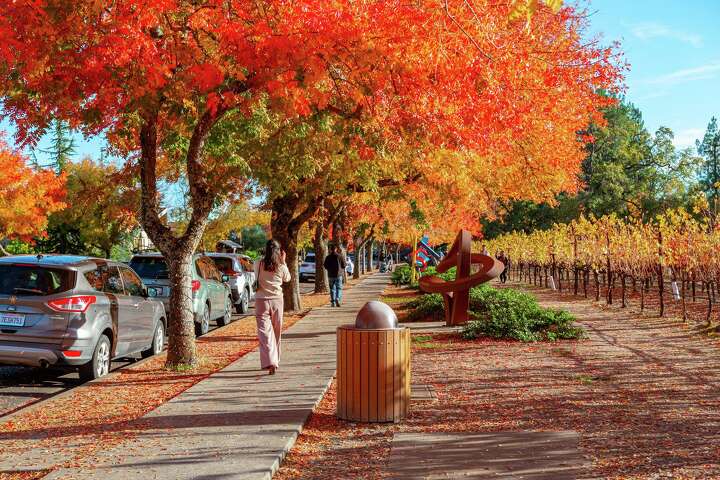 Fall colors map 2025: Bay Area's best spots to see changing leaves
