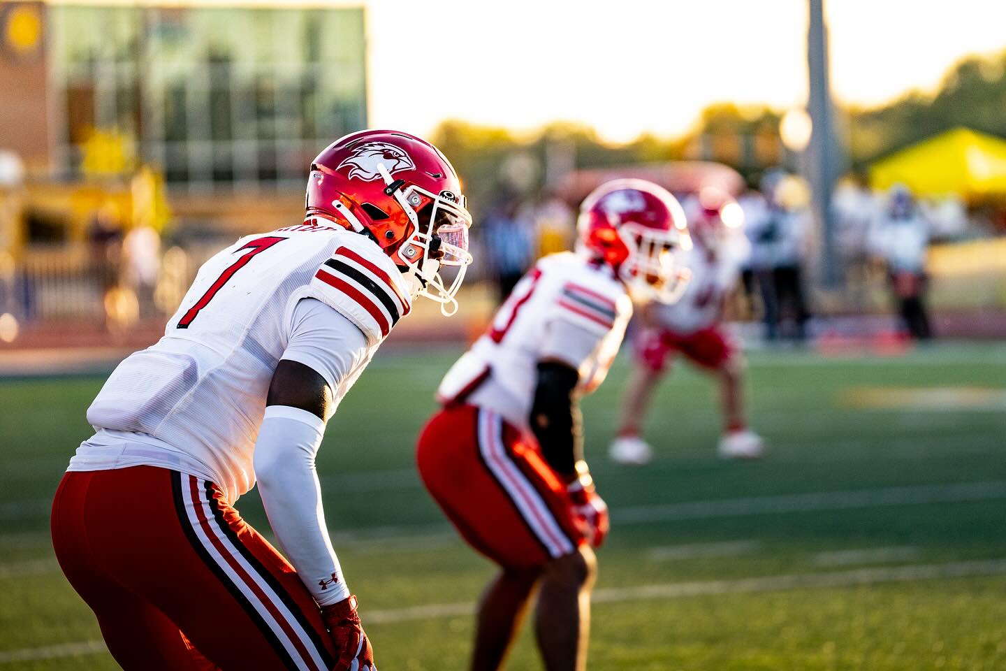 High Point defeats Gardner-Webb 104-49