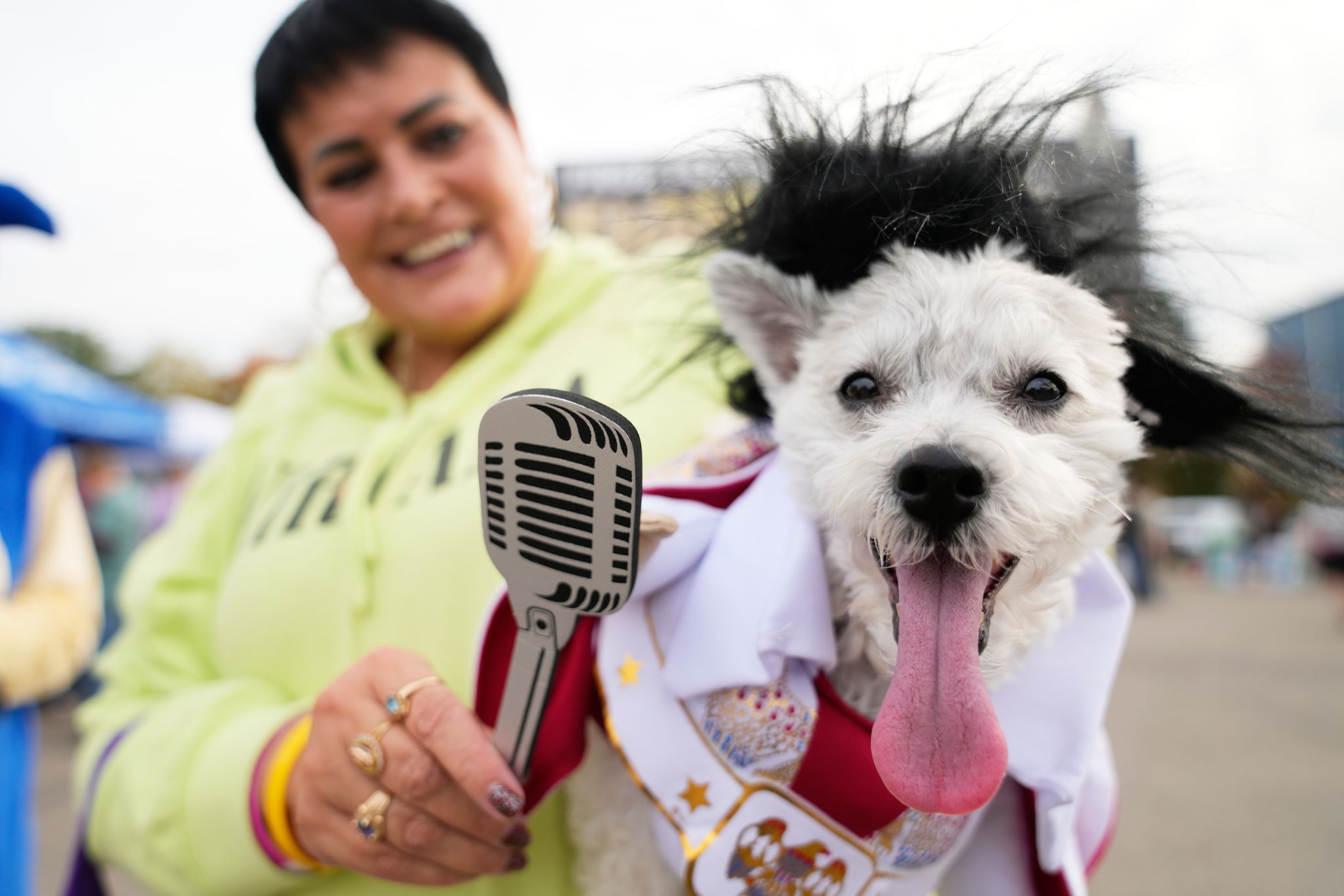 Dozens of costumed canines get their chance to trick-or-treating at ...