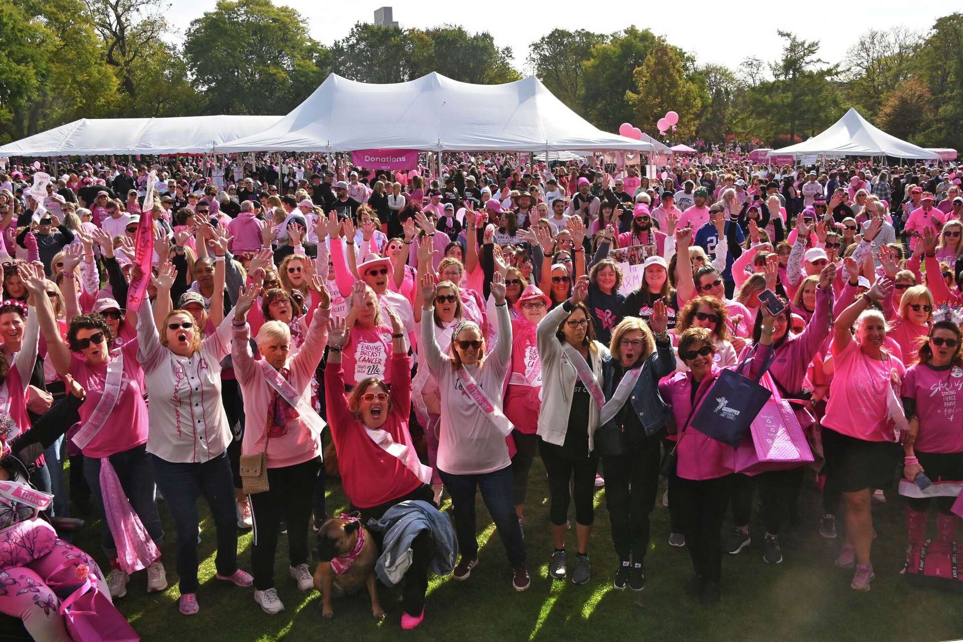 Photos: Making Strides Against Breast Cancer Walk in Albany