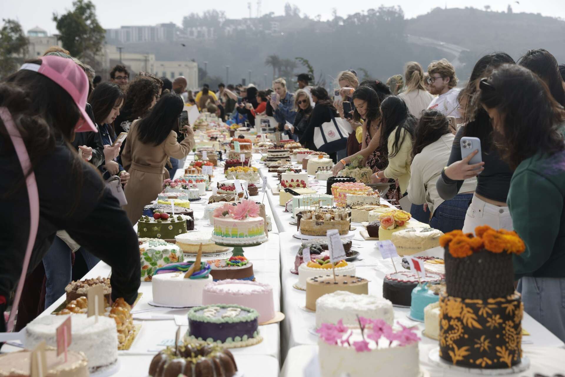 SF Cake Picnic sold out in under a minute. Here’s how it looked