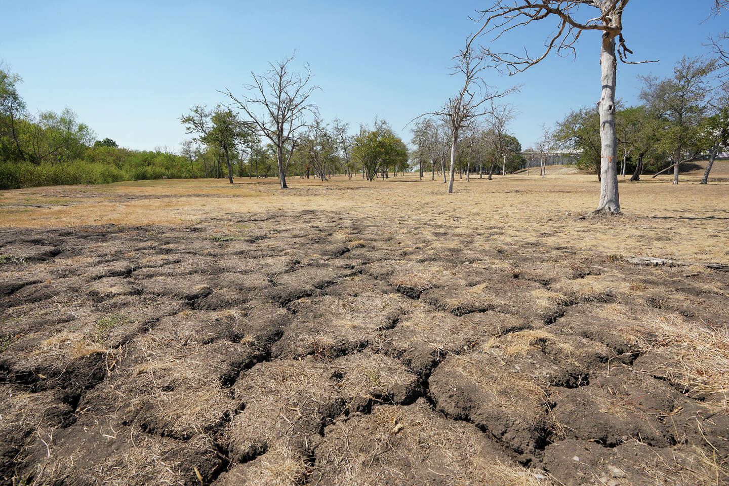 What Texans should know about NOAA's winter weather forecast