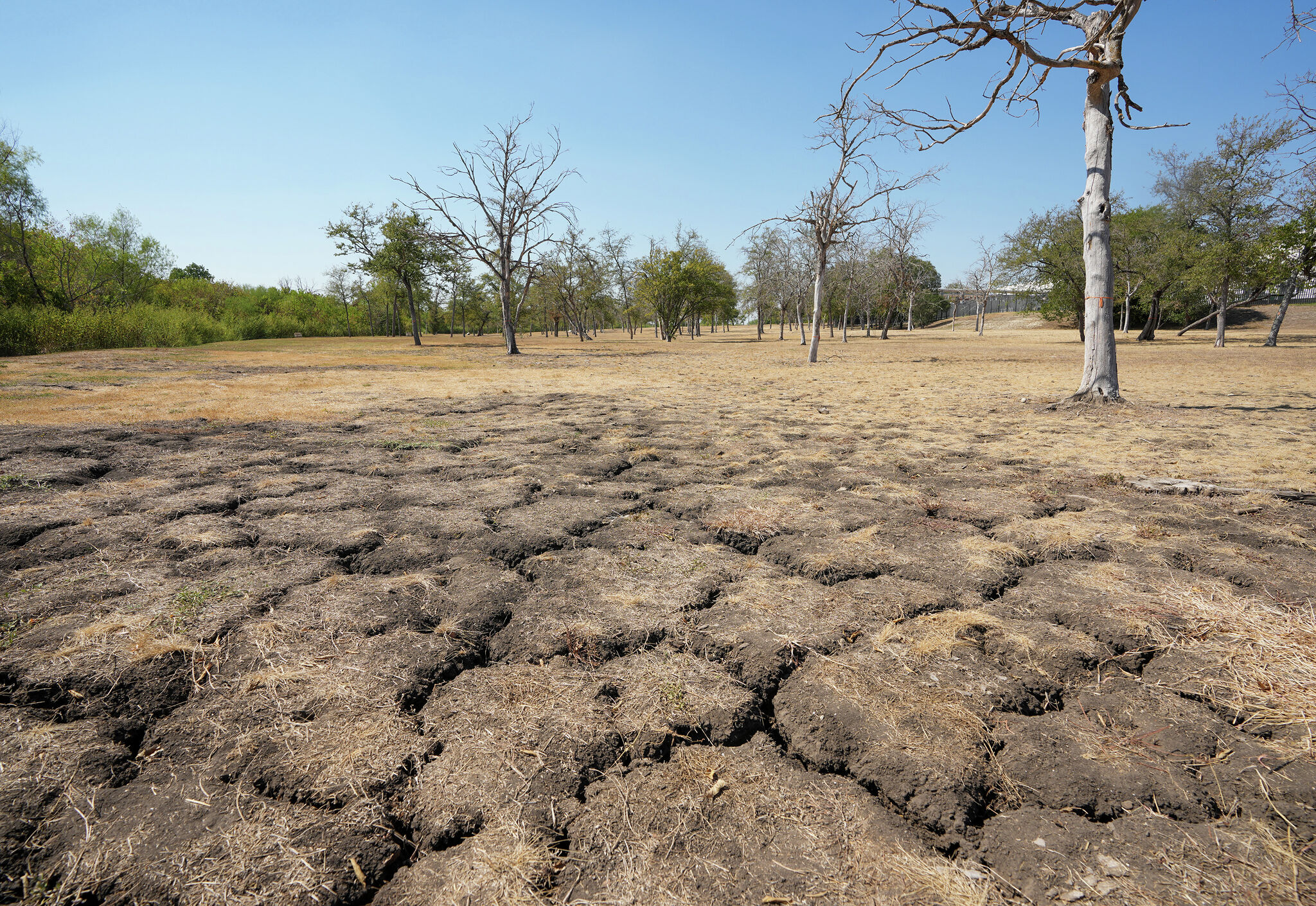What Texans should know about NOAA's winter weather forecast