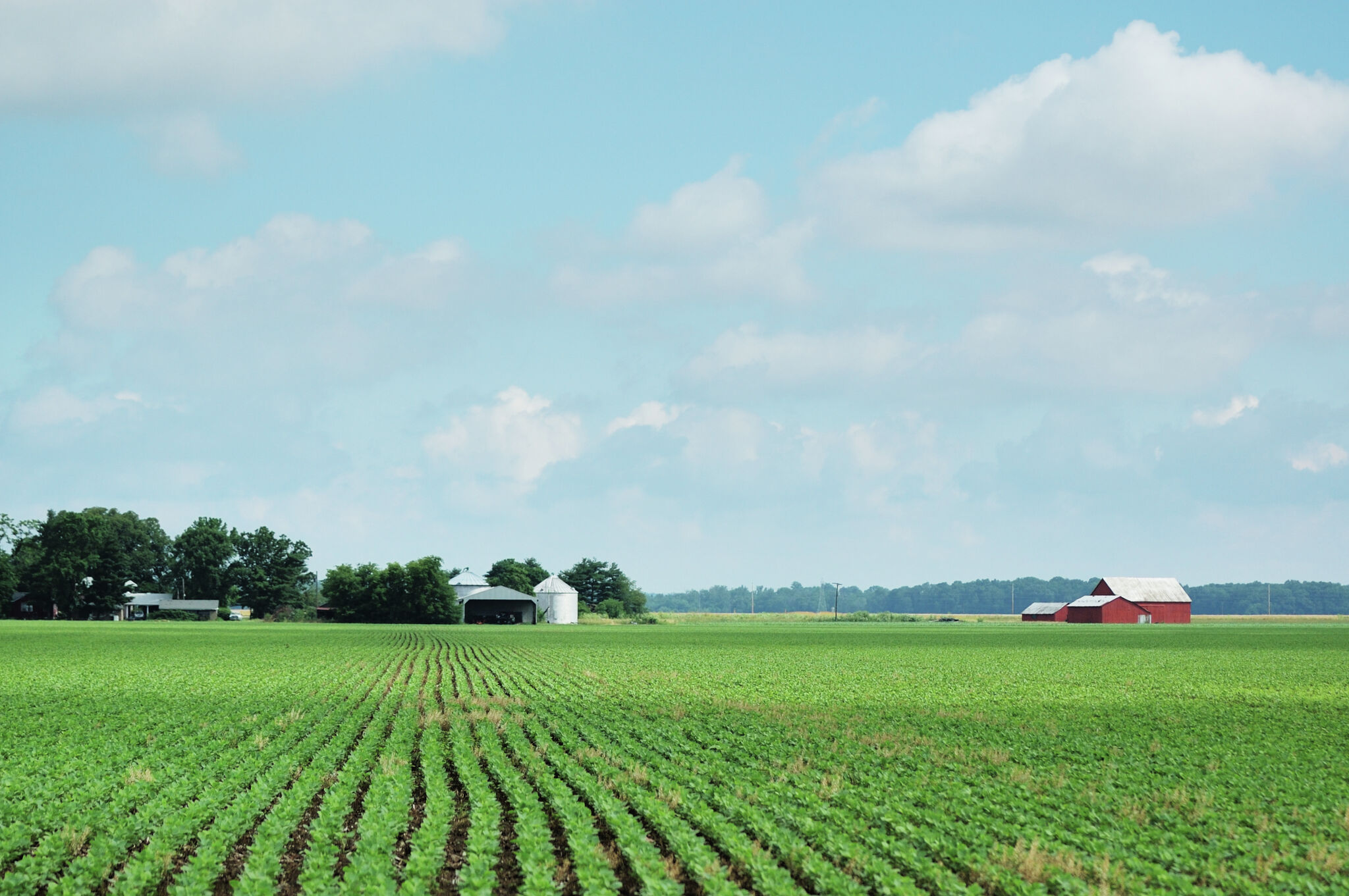 Specialty crop grants aim to boost Michigan farms’ resilience