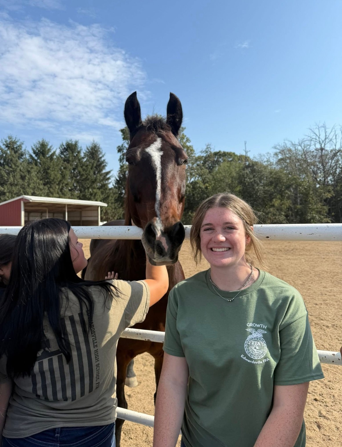 Edwardsville FFA student earns perfect horse judging score