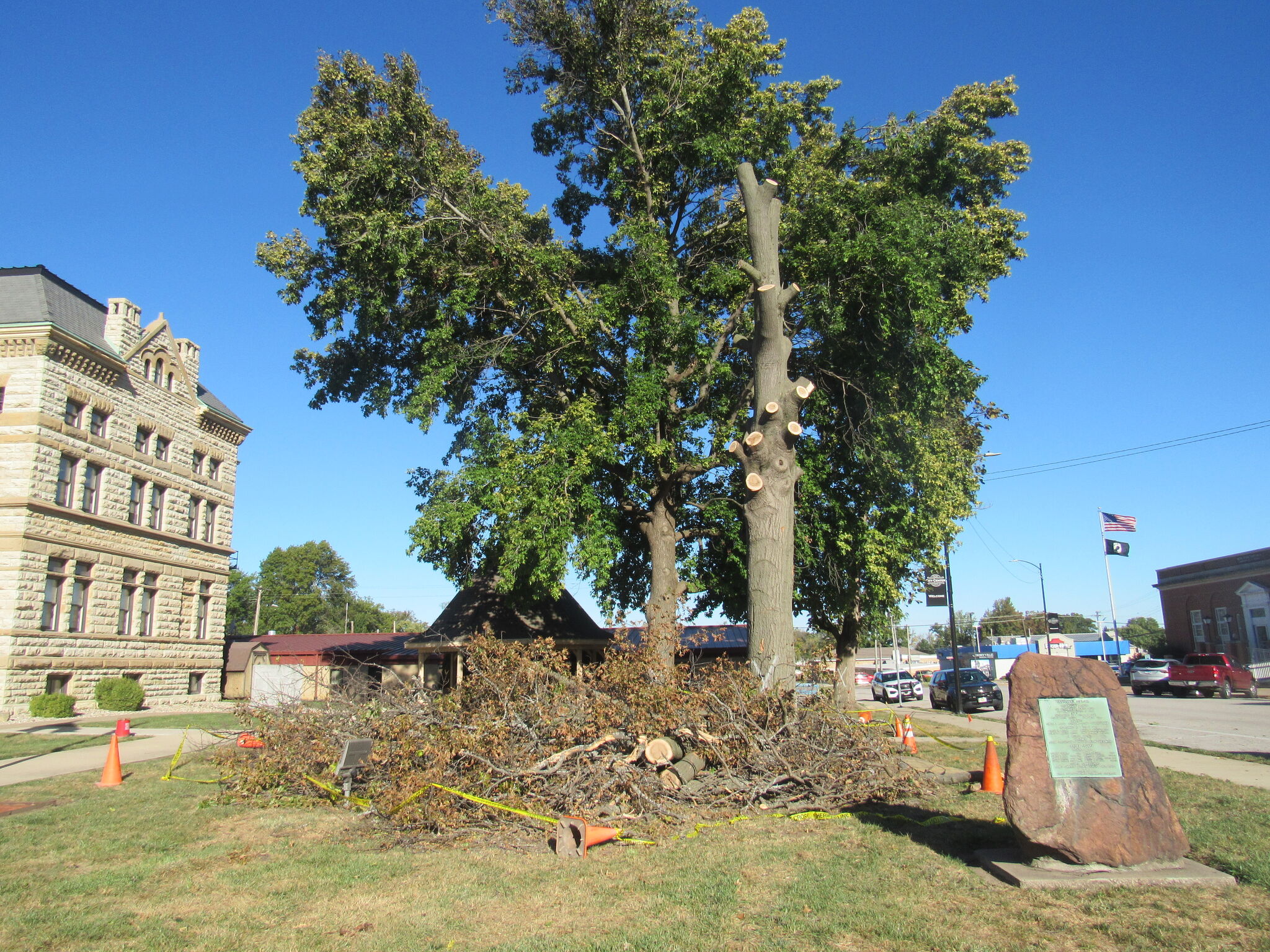 Jersey County Courthouse to remove six dying trees