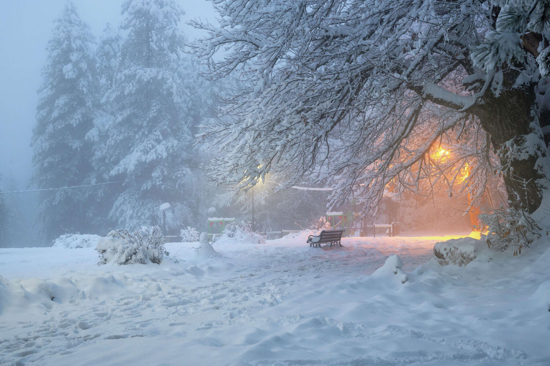 Michigan's first snow: Average first snow dates by city