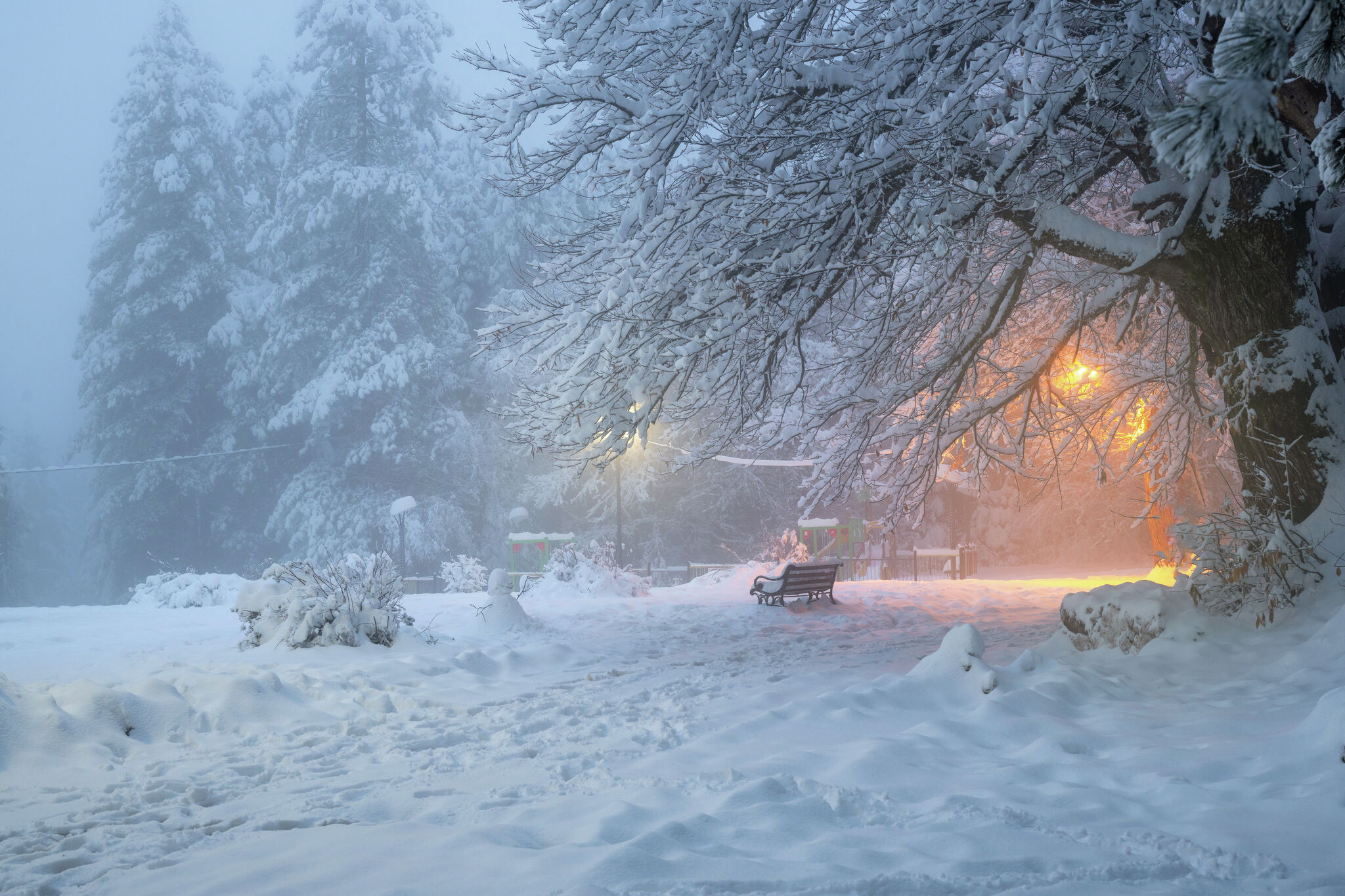 Task force aims to move those displaced by ex-typhoon in Alaska from ...