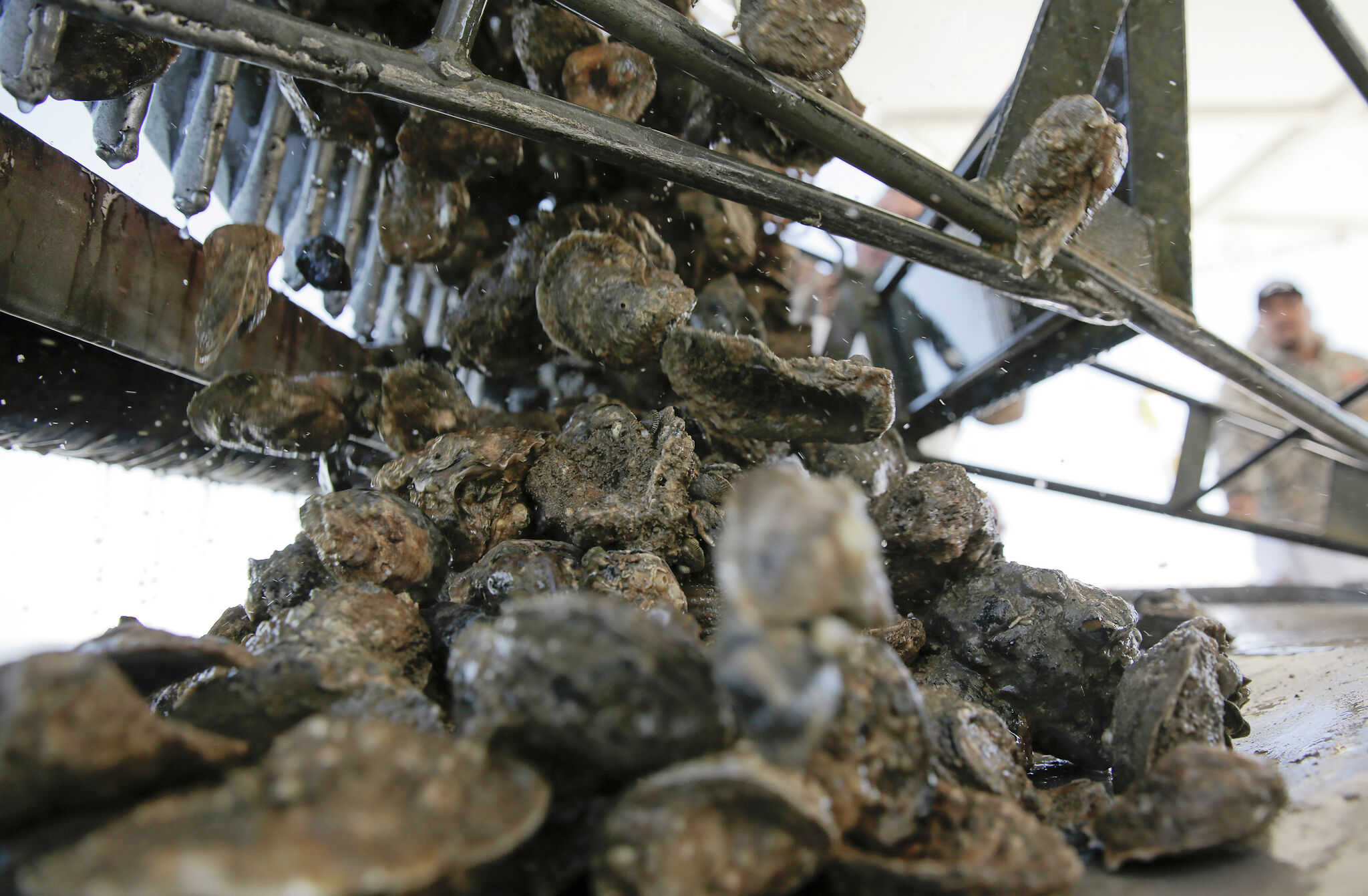 Two-Step Inn 2025 lineup includes Alan Jackson, Miranda Lambert