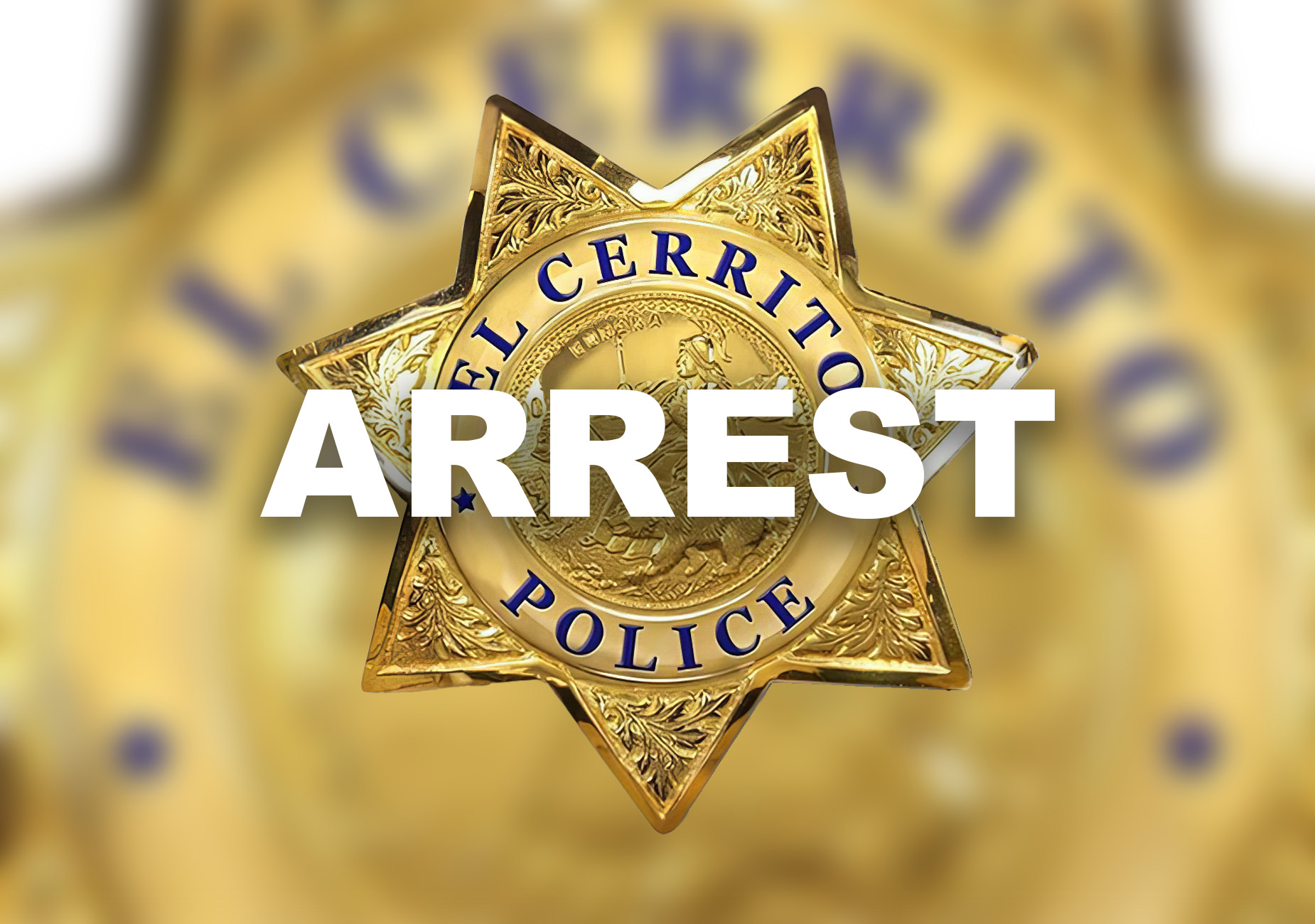 El Cerrito: Police Operation Heads Off 4 Organized Retail Thefts ...