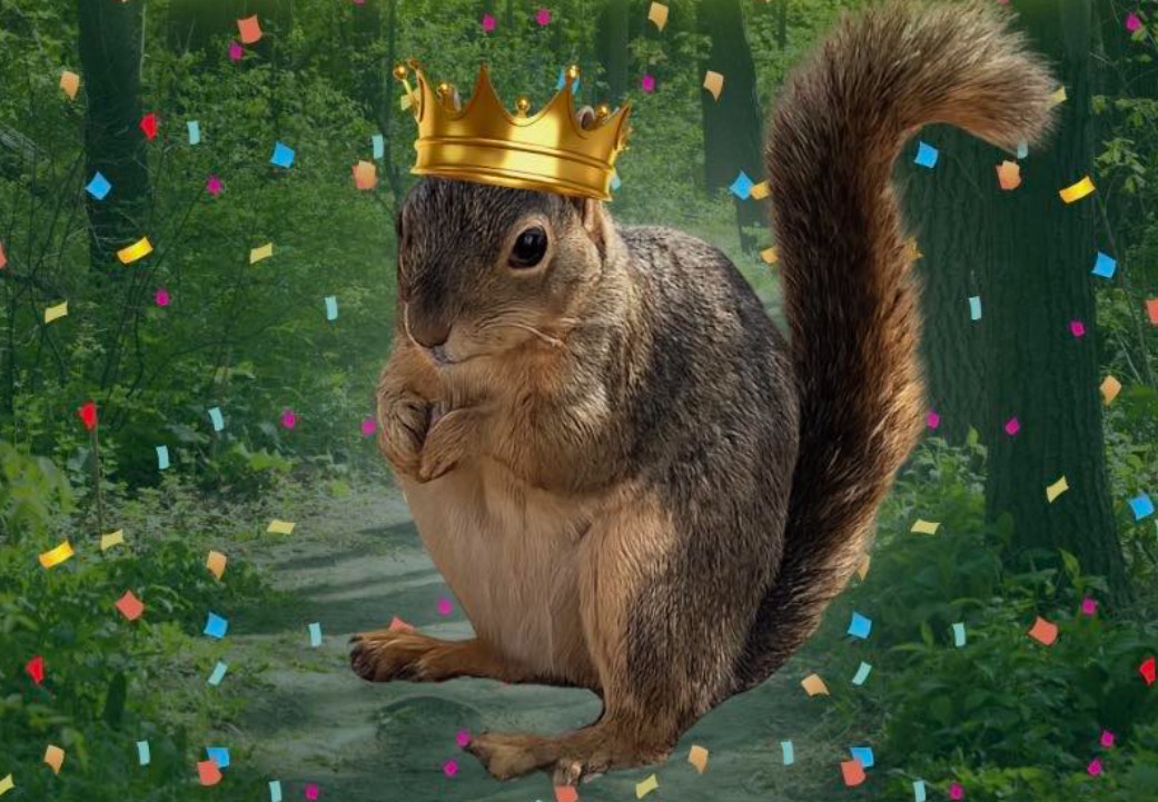 Texas squirrel named Chunkosaurus Rex wins inaugural Fat Squirrel Week