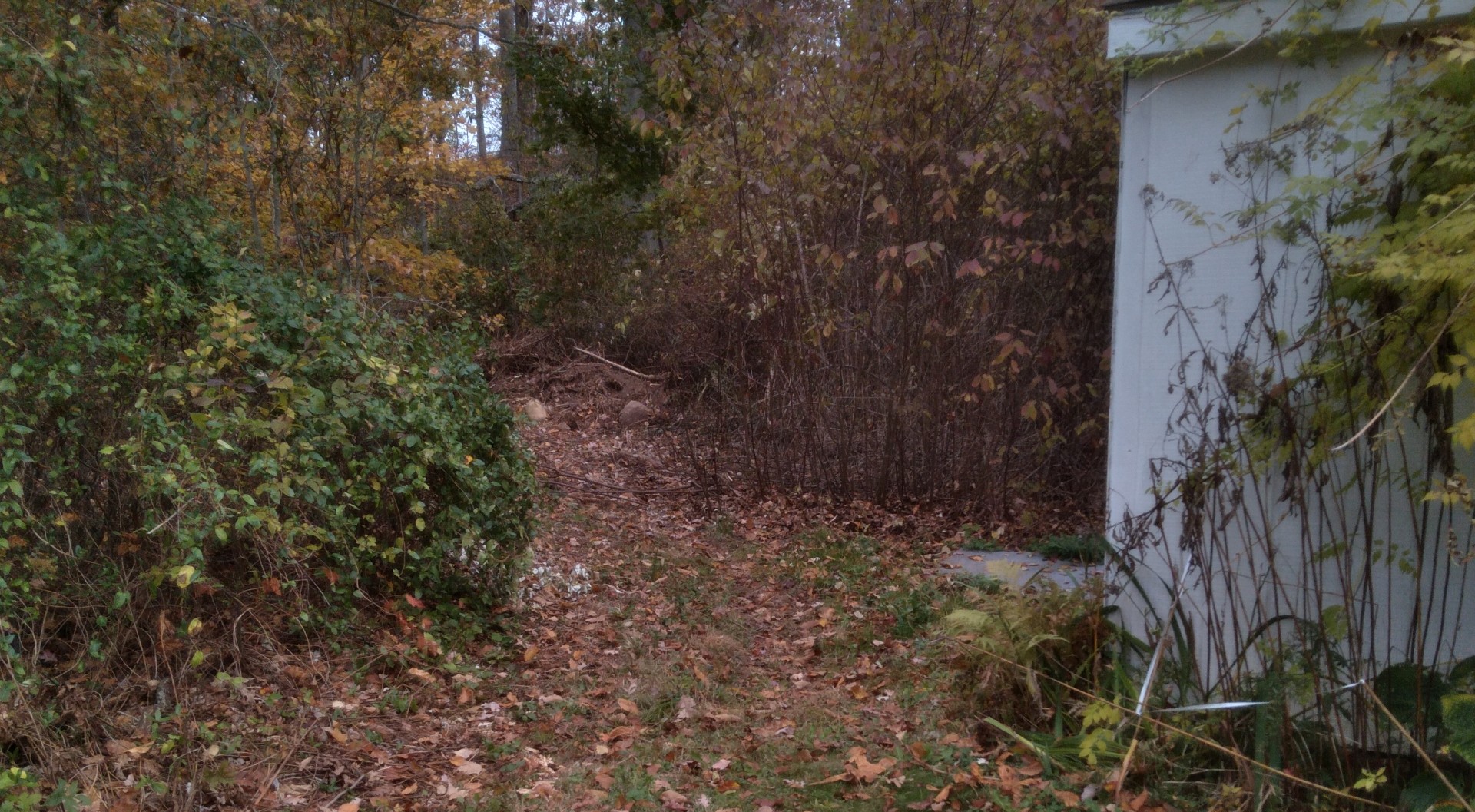 Hamden resident describes terrifying encounter with burned teens