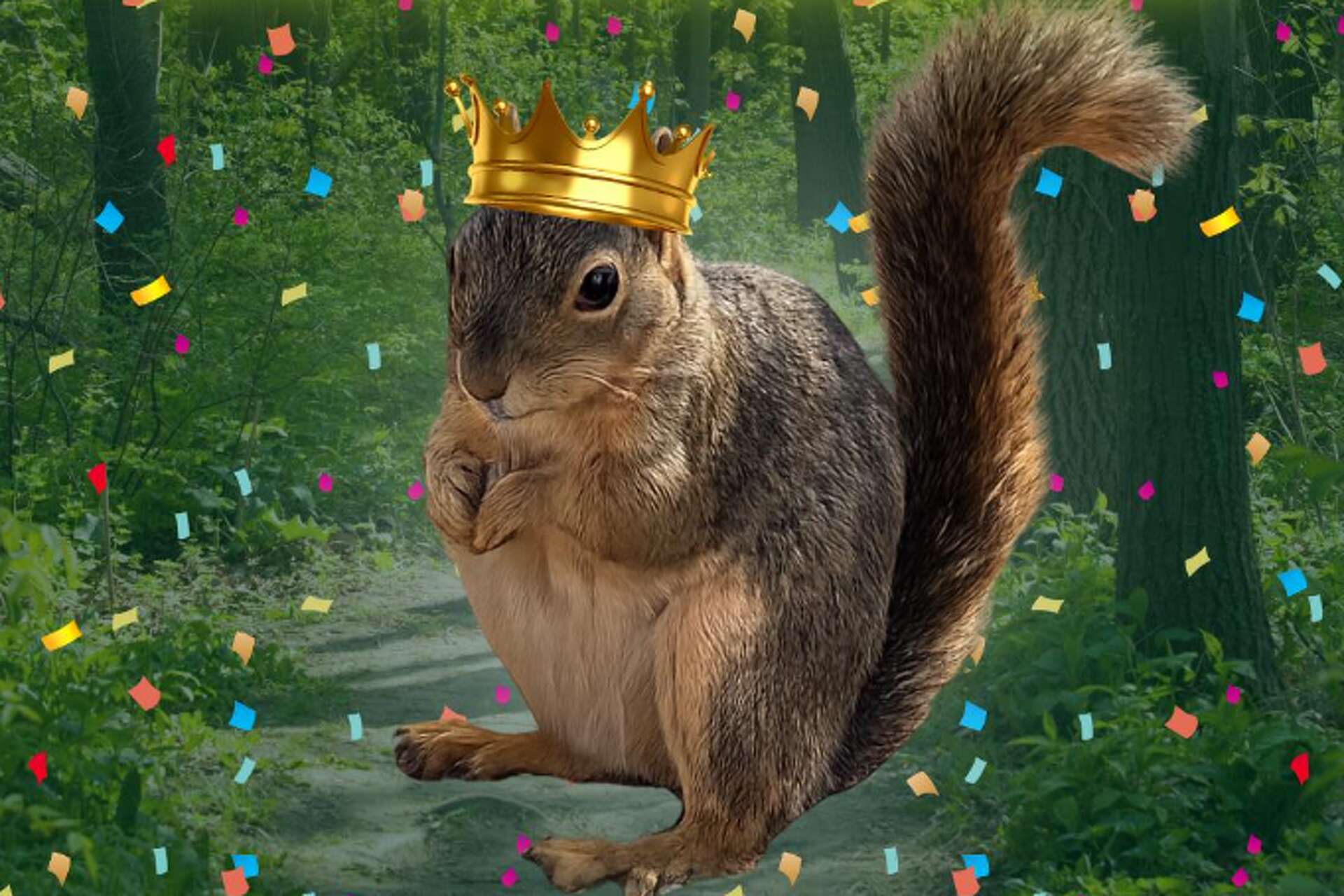 Chunkosaurus Rex crowned first champ of Fat Squirrel Week
