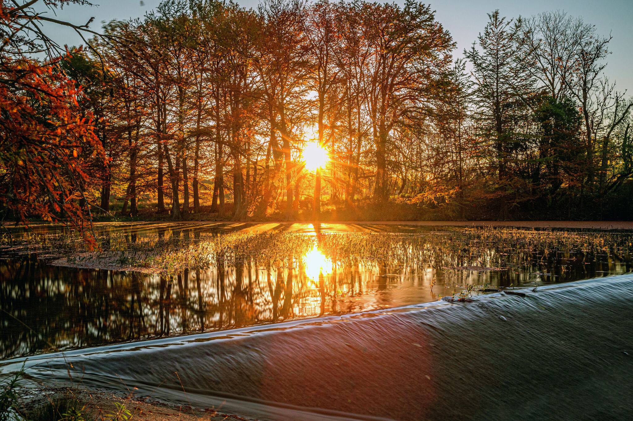 Horoscope for Wednesday, 11/5/25 by Georgia Nicols