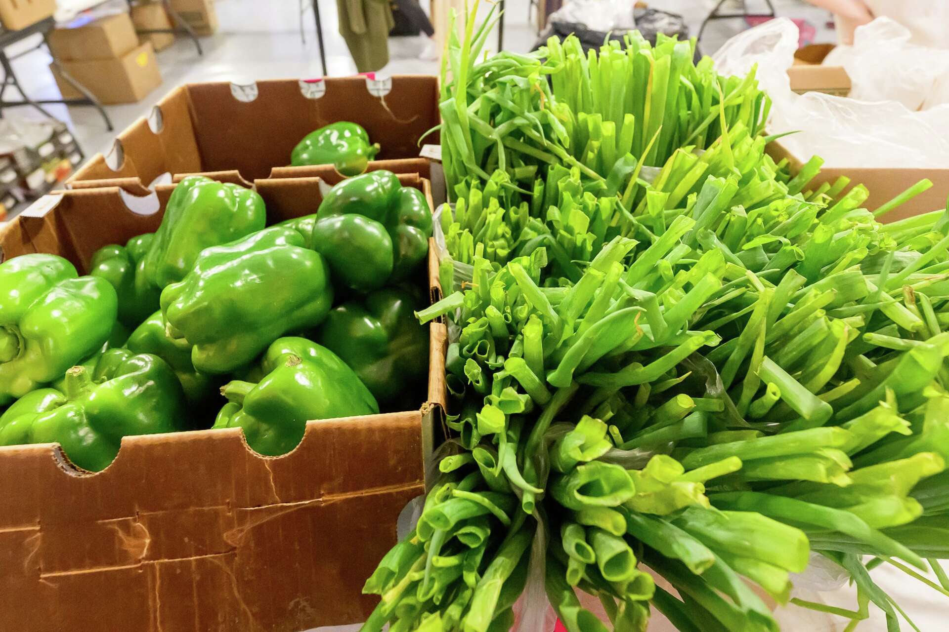Capital Region food pantries see uptick in clients amid shutdown