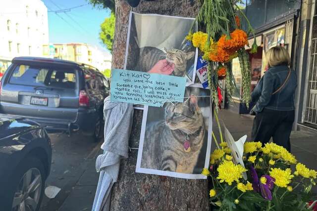 Supervisor’s response to Waymo killing a cat is typical S.F. politics
