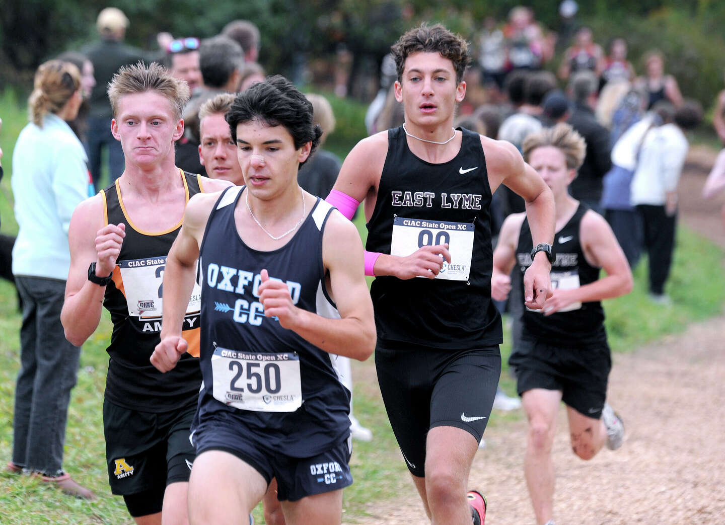 CT's best XC runners compete at New England championships Saturday