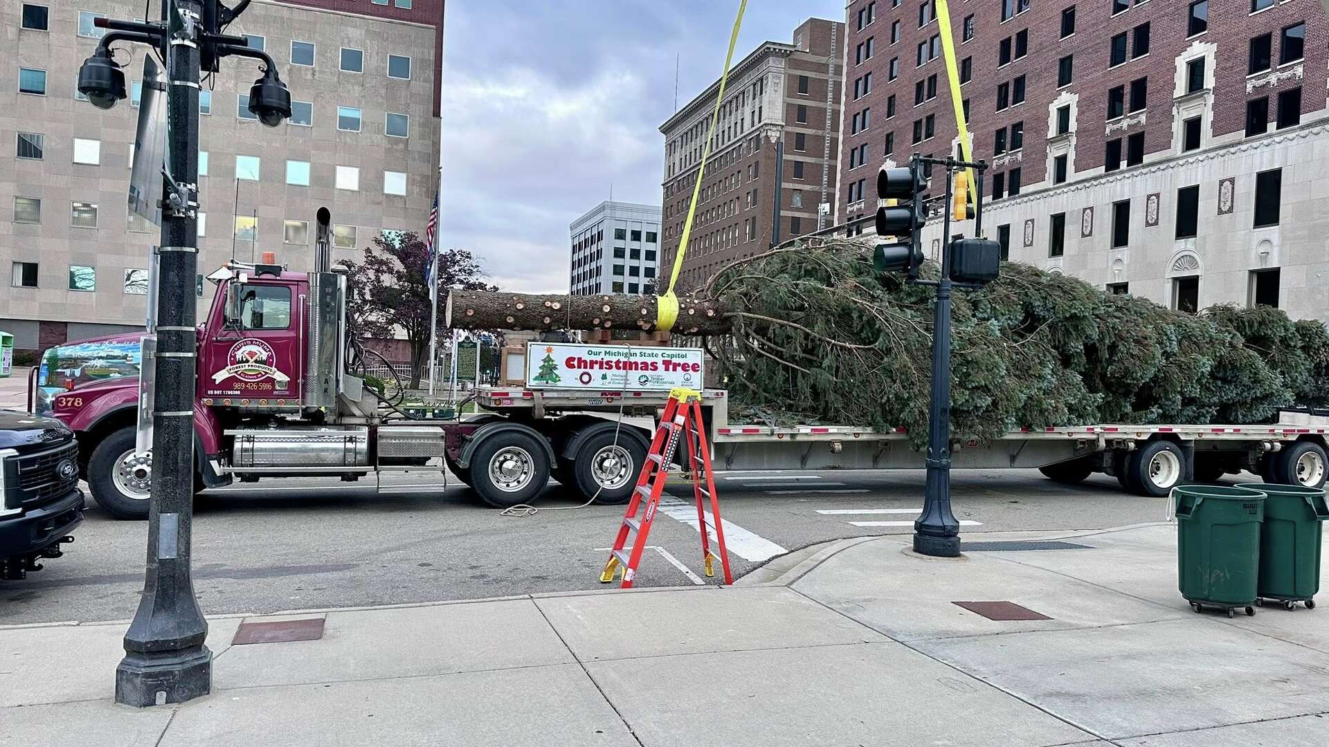 Gladwin business hauled the State capitol Christmas tree